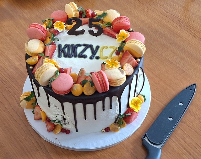 Kurzy.cz slaví 25 let aneb od přehledu kurzů měn ke komplexnímu ...