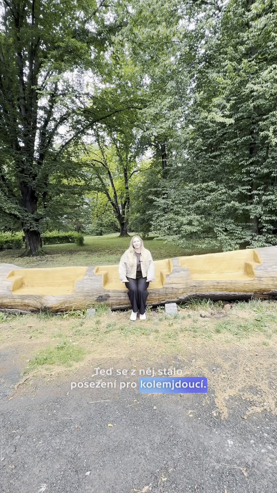 Posezení z pokáceného nemocného stromu mohou nově využít návštěvníci ...