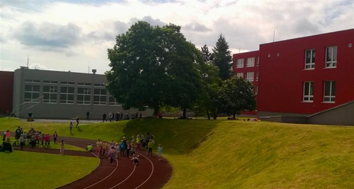 Přehled příspěvkových organizací města Chebu | Kurzy.cz